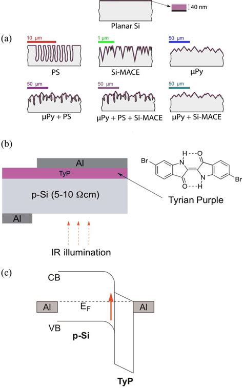 Enhanced Near Infrared Response Of Nano And Microstructured Siliconorganic Hybrid