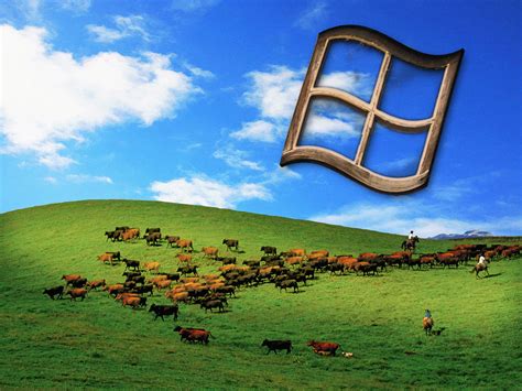 windows xp snapshot at robert chasse blog