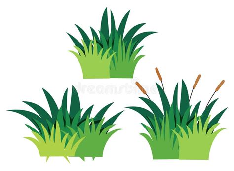 Group Of Fresh Lush Green Grass With Cattails Stock Illustration