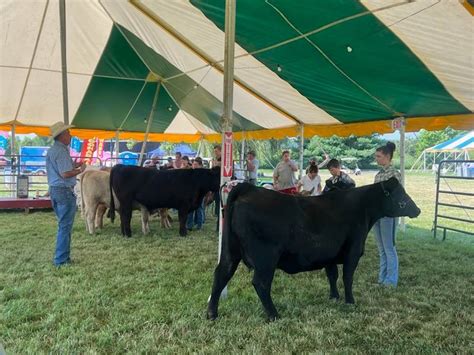 Burlington County Farm Burlington County Farm Fair Nj