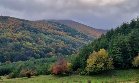 Business Adventures Наистина ли си мислите че е достатъчно да си сложите снимки с парични