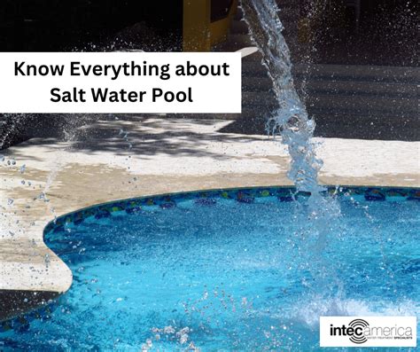 Salt Water Pool System Intec America Corporation