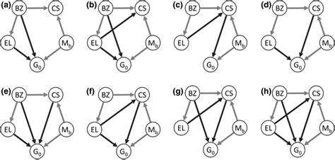 directed acyclic graphs depicting our candidate path models a h the