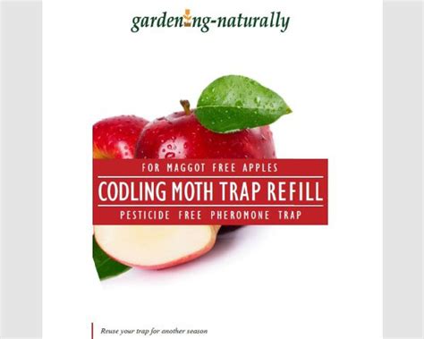 Codling Moth Trap Refill Pack