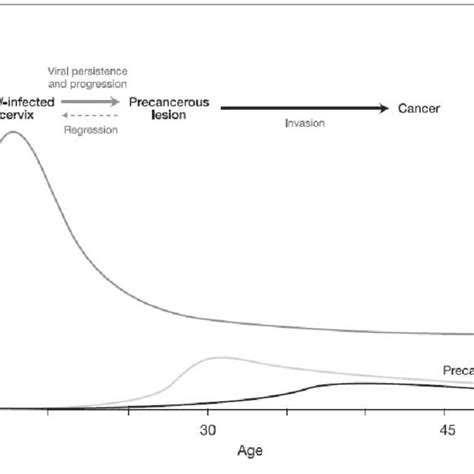 Prevalence Of Hpv Infection Precancerous Lesions And Cervical Cancer