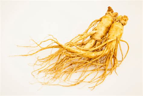 영주시 영주문화관광