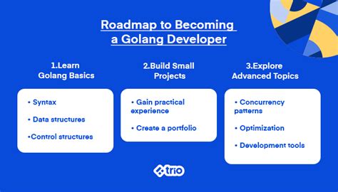 Guide To Becoming A Golang Developer Roadmap For 2024