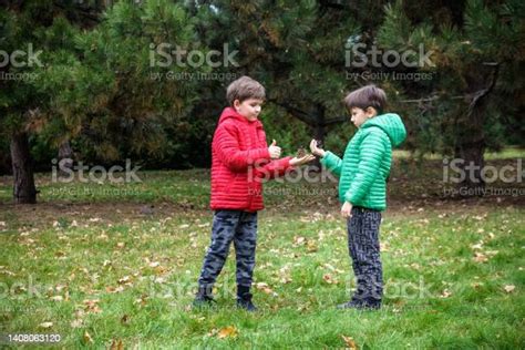 숲에서 하이킹을하는 두 명의 어린이 유아와 어린 아이들과 함께 하이킹 사계절에 대한 스톡 사진 및 기타 이미지 사계절 아이 10 11세 Istock