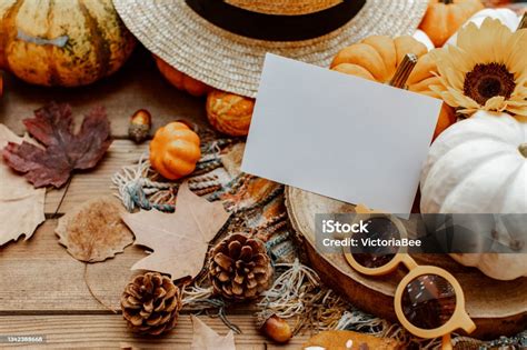 가을 인사말 카드 모의 호박 단풍 소나무 콘이있는 빈 카드 추수 감사절과 할로윈 엽서 템플릿 가을 배경 0명에 대한 스톡 사진 및 기타 이미지 Istock