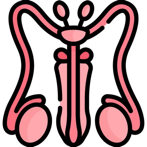 Reproductive System Kawaii Lineal Color Icon