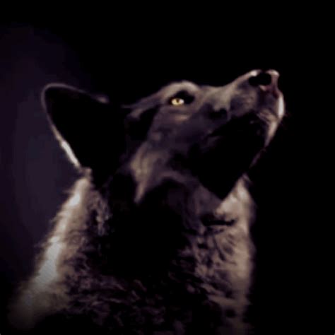 Howling Wolf  Tumblr