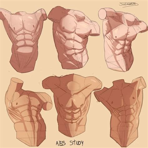 Abs Study Body Reference Drawing Anatomy Sketches Figure Drawing Reference