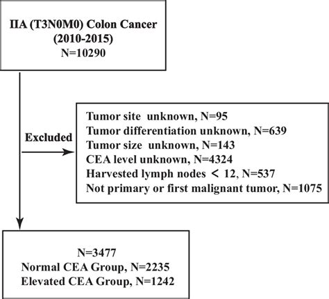Selection Of Patients From The Seer Database Download Scientific Diagram