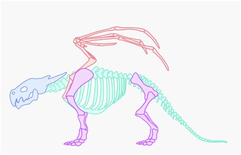 Rawr How To Draw An Anatomically Correct Dragon Envato Tuts