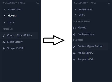 Local Plugins Custom Section And Links Strapi Admin Strapi