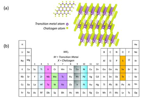 A General Structure Of Tmdc Where The Metal Atom Purple Is Download Scientific Diagram