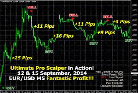 I Will Give You Ultimate Pro Scalper Trading Indicator Forex For Metatrader 4 Mt4 Financial
