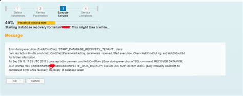 Sap Hana System Copy Homogeneous On Multi Tenant Sap Community