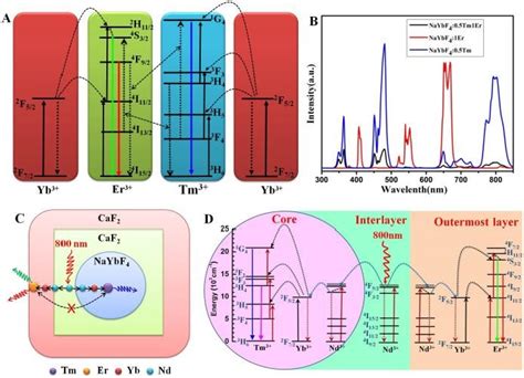 Figure 1 From Nd3 Sensitized Multicolor Upconversion Luminescence From A Sandwiched Coreshell