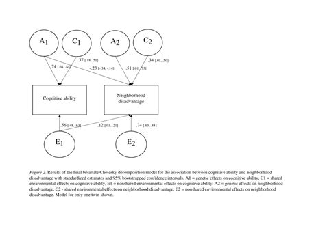 Results Of The Final Bivariate Cholesky Decomposition Model For The Download Scientific Diagram