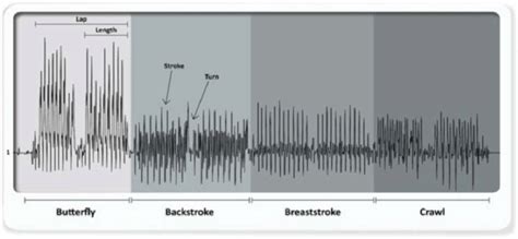 8 Acceleration Norm Of A Swimmer Performing Four Different Swimming Styles Download Scientific