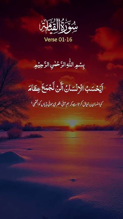 بسم اللہ الرحمٰن الرحیم 💯💯👉 سورت نام صورة الكيامة سورت نمبر 116💔💔 Plz