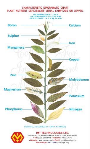 Boracol 11 For Fruit Crops Sugarcane At Best Price In Pune
