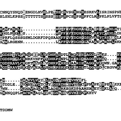 Sequence Alignment Of Predicted Protein Sequences Of Yeast Ptc1 7