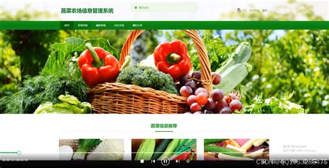 Vuejavawebpython的蔬菜农场信息管理系统数据可视化大屏djangoflask⁺springboot Csdn博客
