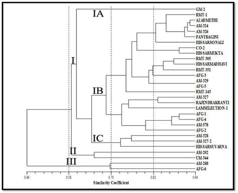 Upgma Dendrogram Displaying The Genetic Similarity Estimates According