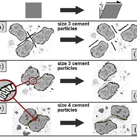 Pdf Particle Flow Interaction Theory Thixotropic Behavior And