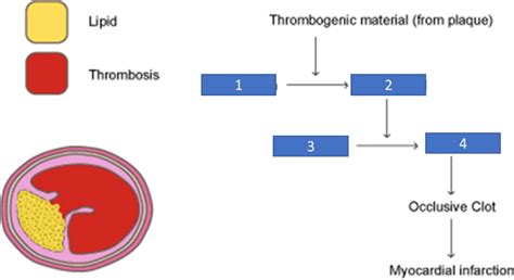 Solved Match The Number With The Correct Item Based On The