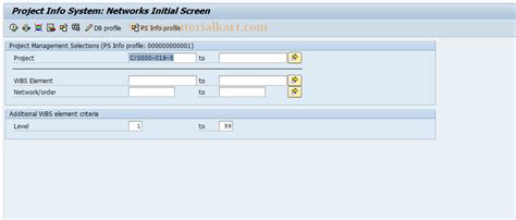 CN SAP Tcode Overview Networks