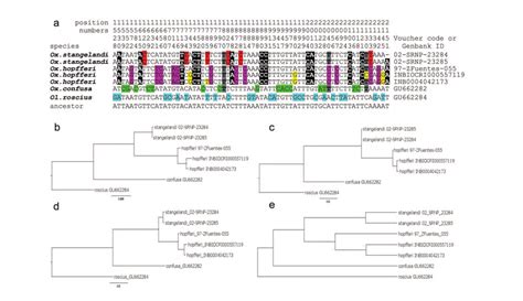 Dna Barcode Sequences And Trees A Positions Showing Variation In A
