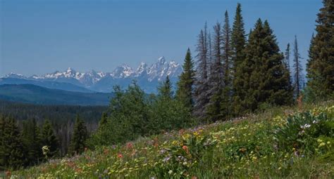 Wyomings Rockies To Tetons Cultural Itinerary Wind River Country