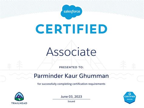 Salesforceassociate Salesforcecertified Parminder Kaur G