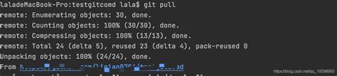 首次在github上创建项目发现不能pull和push问题解决办法github Remote Add 不能拉push Csdn博客