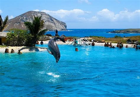 30 Fun Things To Do In Honolulu Hawaii Attractions And Activities