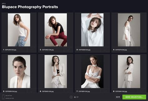 Client Proofing Workflow With Picu