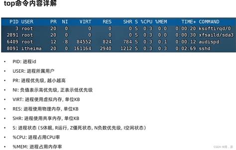 Linux命令总结三 Csdn博客