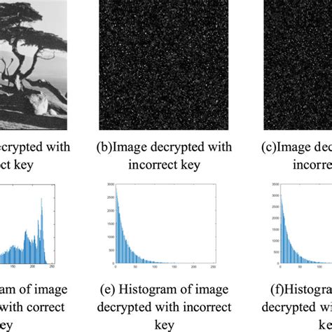 Key Sensitivity Analysis Decryption Results With Correct Secret Key