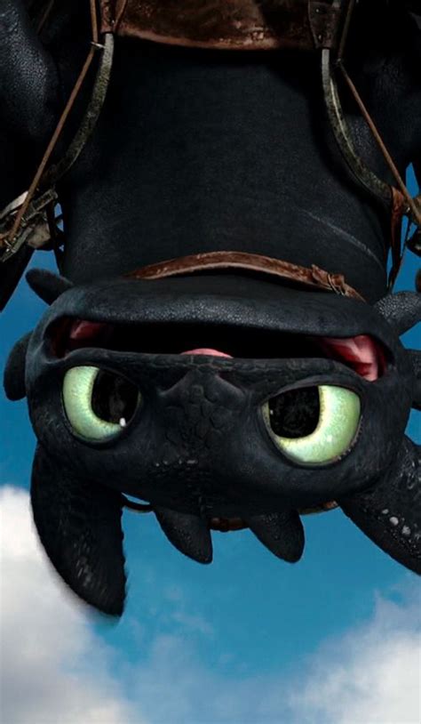 23 Ideas De Chimuelo Fotos De Chimuelo Cómo Entrenar A Tu Dragón