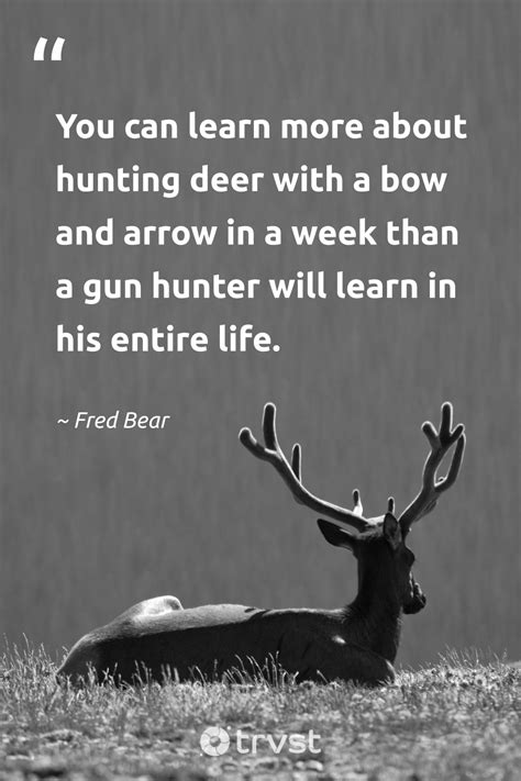 35 Deer Quotes About The Graceful Mammals With Antlers