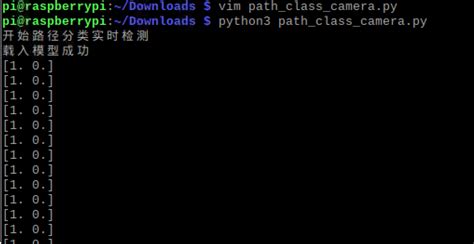 将paddlex训练的模型进行openvino模型转换后推理过程出错 · Issue 511 · Paddlepaddlepaddlex