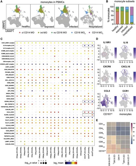 Receptor Ligand Interaction Inferences Uncover Unique Interactions