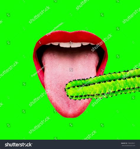 Play Sex Concept Mouth Big Cactus Stock Photo 738928921 Shutterstock