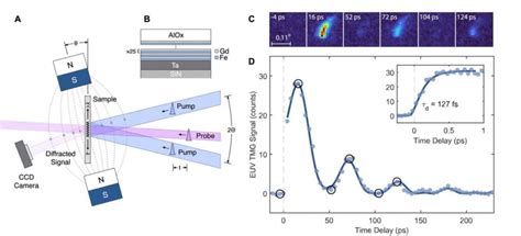 Transient Grating Spectroscopy Nelson Group