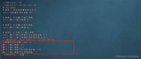 【shell】特殊符号变量区别 N01~910 10 Shell N Csdn博客 【shell】特殊符号变量区别 N01~910 10 Shell N Csdn博客