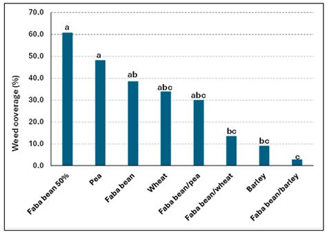 Intercropping As A Strategy For Weed Management In Faba Bean Vicia Faba L