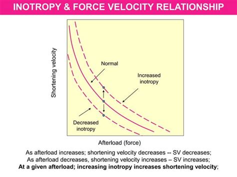 Ventricular Pv Loop 2019 Pptx Heart And Cardiovascular Diseases